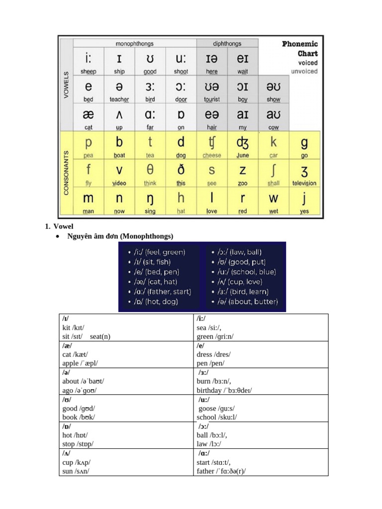 Vowel Nguyên Âm Đơn (Monophthongs) | PDF
