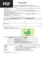 Plant Classification Worksheet | PDF | Plants | Leaf
