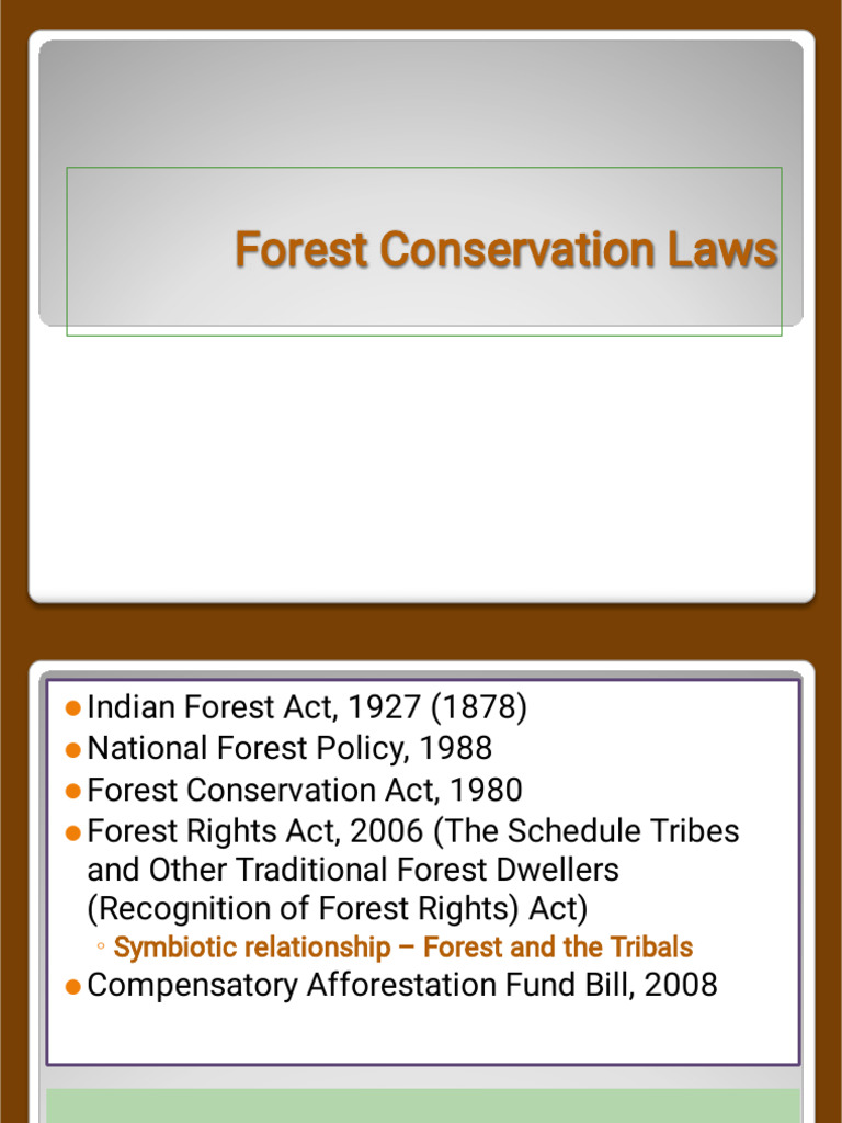 Overview of Indian Forest Laws | PDF | Forests | Forest Management