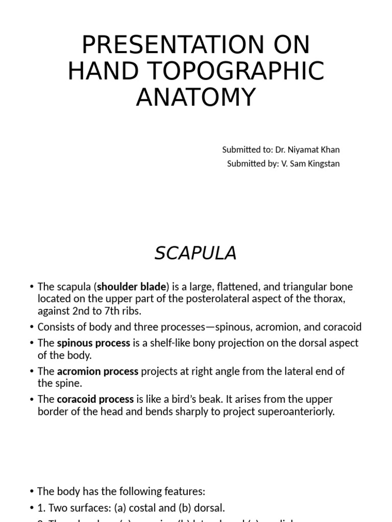 Scapula Anatomy and Shoulder Joint Overview | PDF | Elbow | Hand