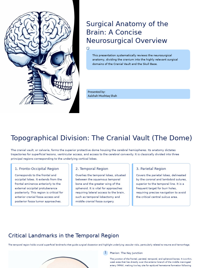 Brain Surgical Anatomy Overview | PDF | Brainstem | Cerebral Cortex