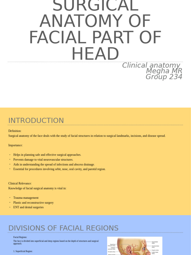 Surgical Anatomy of the Facial Region | PDF | Human Nose | Primate Anatomy