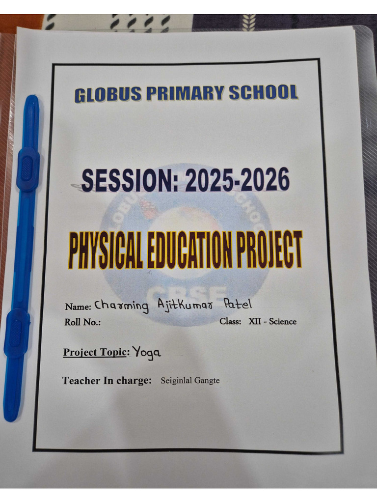 PE Project | PDF