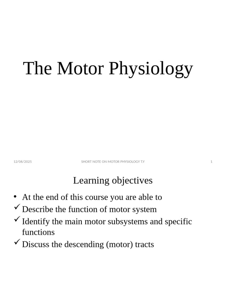 Motor Physiology Overview and Functions | PDF | Cerebellum | Motor Neuron