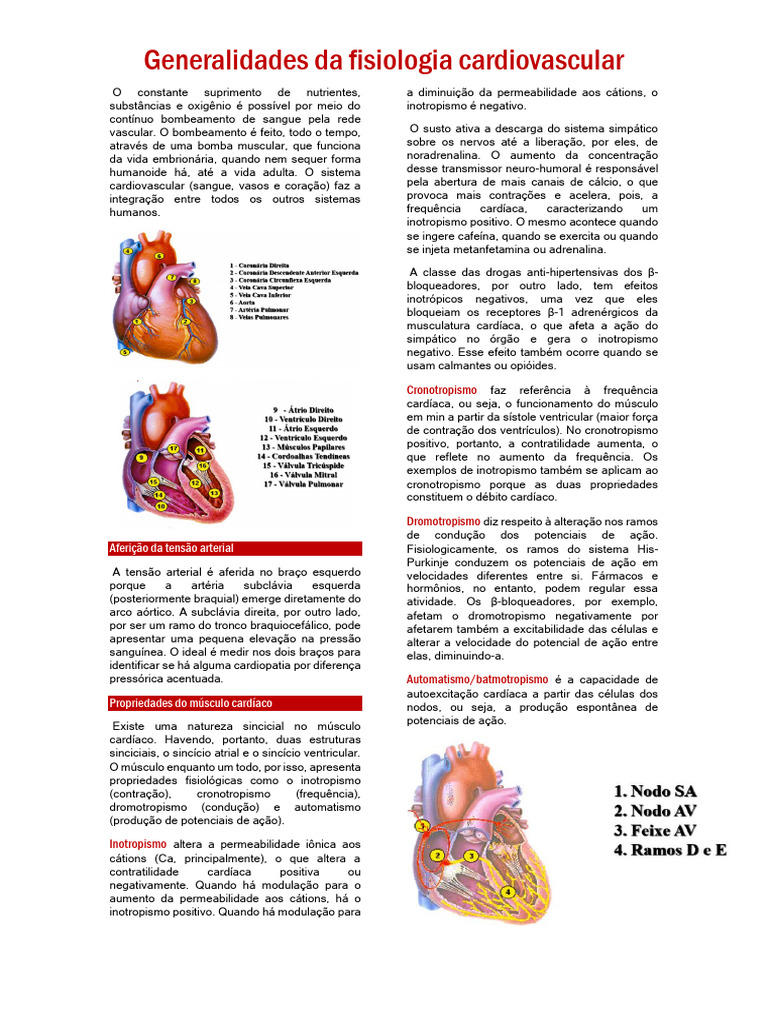 Fisiologia Cardiovascular: Ciclo e Funções | PDF | Coração | Ventrículo ...