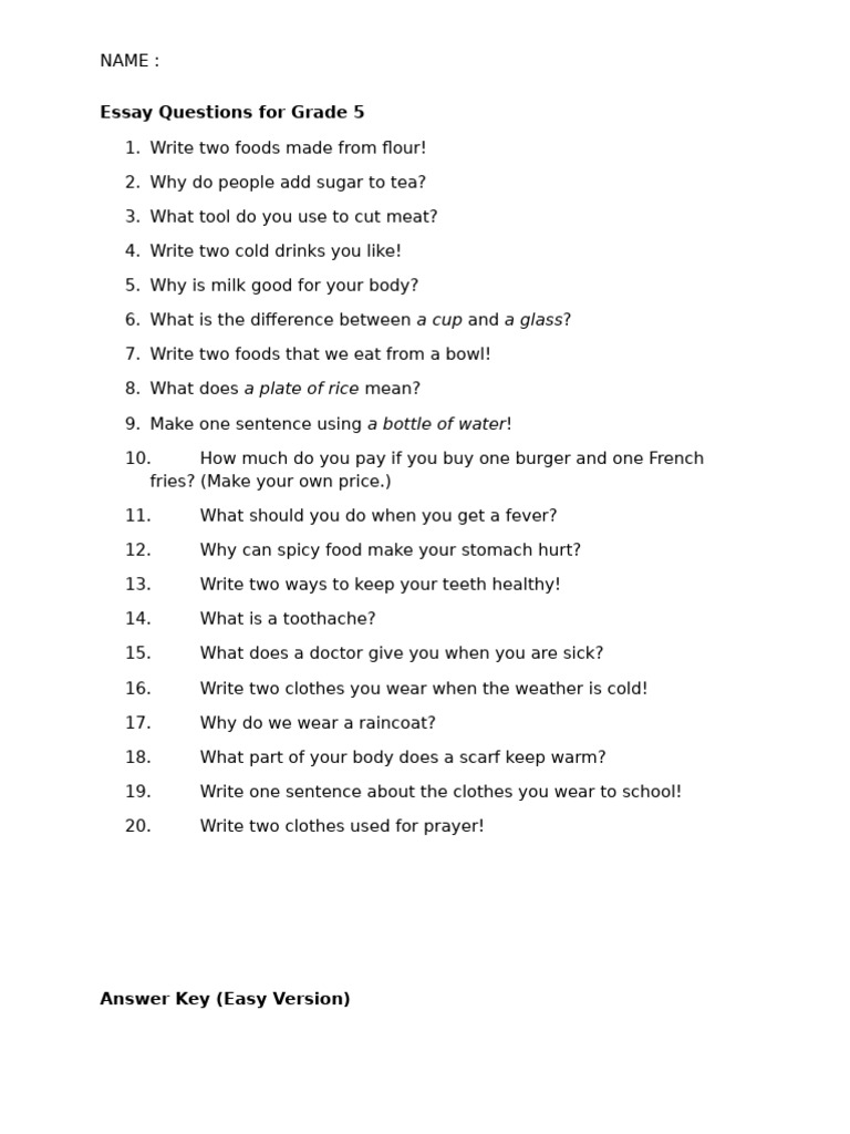 Essay Questions for Grade 5 | PDF