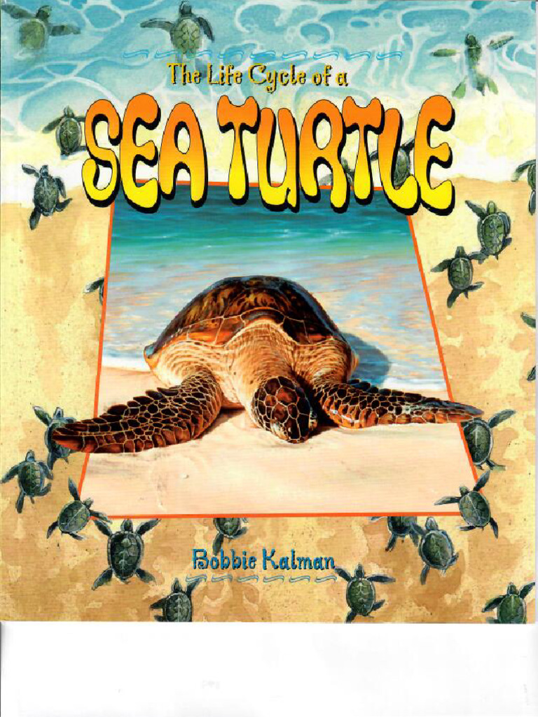 2002 The Life Cycle of A Sea Turtle. | PDF