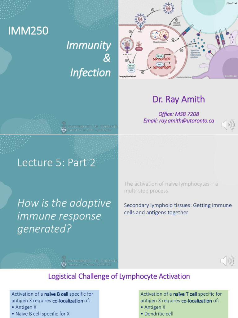 Adaptive Immune Response Overview | PDF | Lymphatic System | Lymphocyte