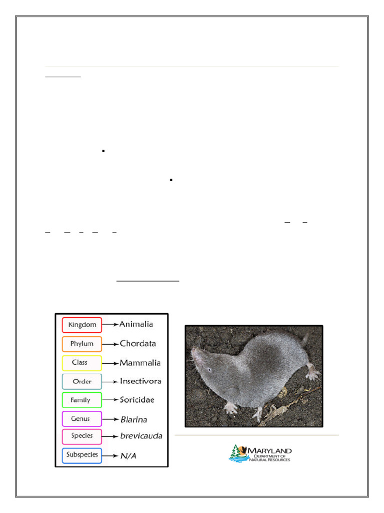 Understanding Taxonomy and Classification | PDF