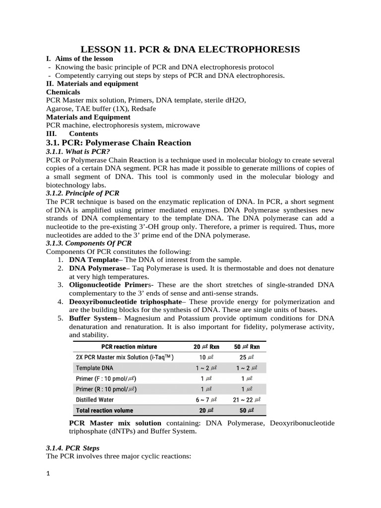 Lesson 11. PCR and DNA Electrophoresis | PDF | Polymerase Chain ...