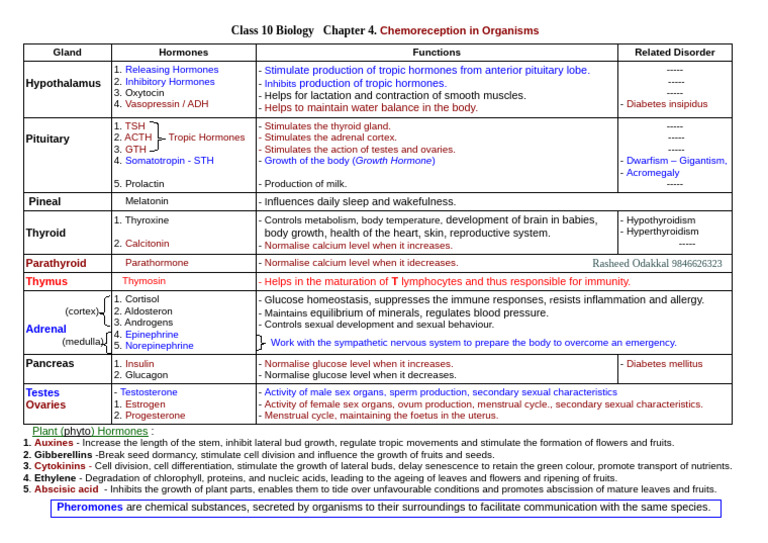 Hormones and Their Functions in Organisms | PDF | Hormone | Adrenal Gland