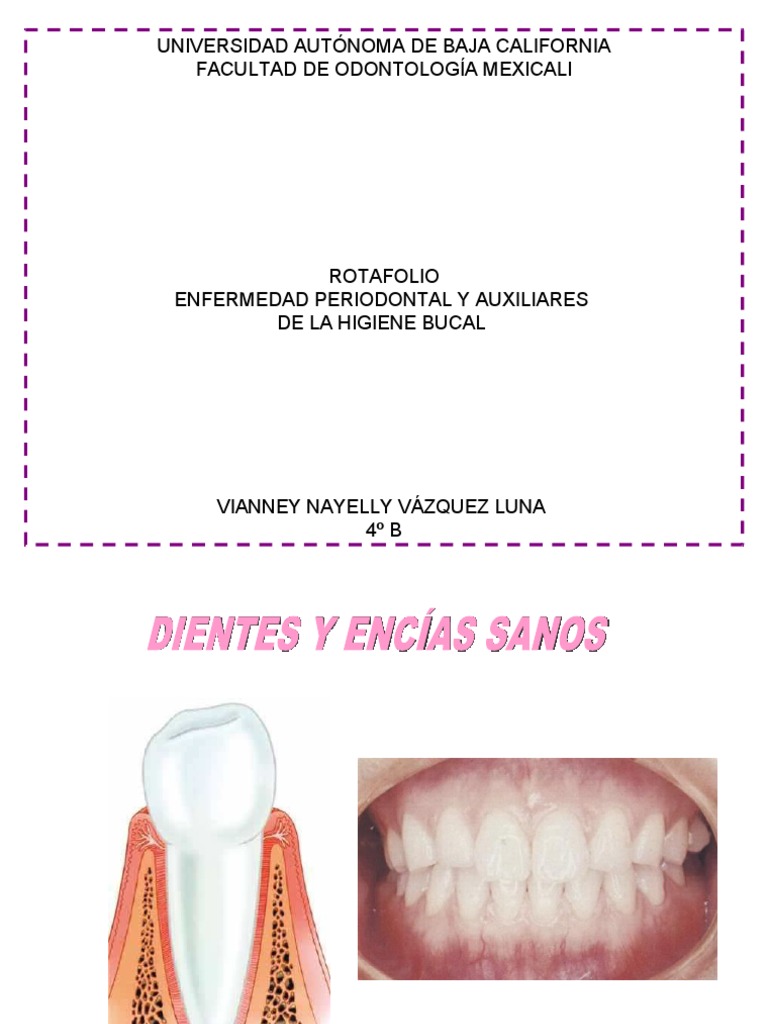 ROTAFOLIO | PDF | Salud y bienestar