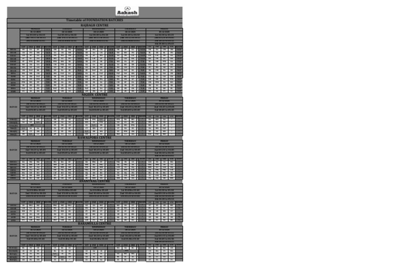 Foundation Batches Timetable 2025 | PDF