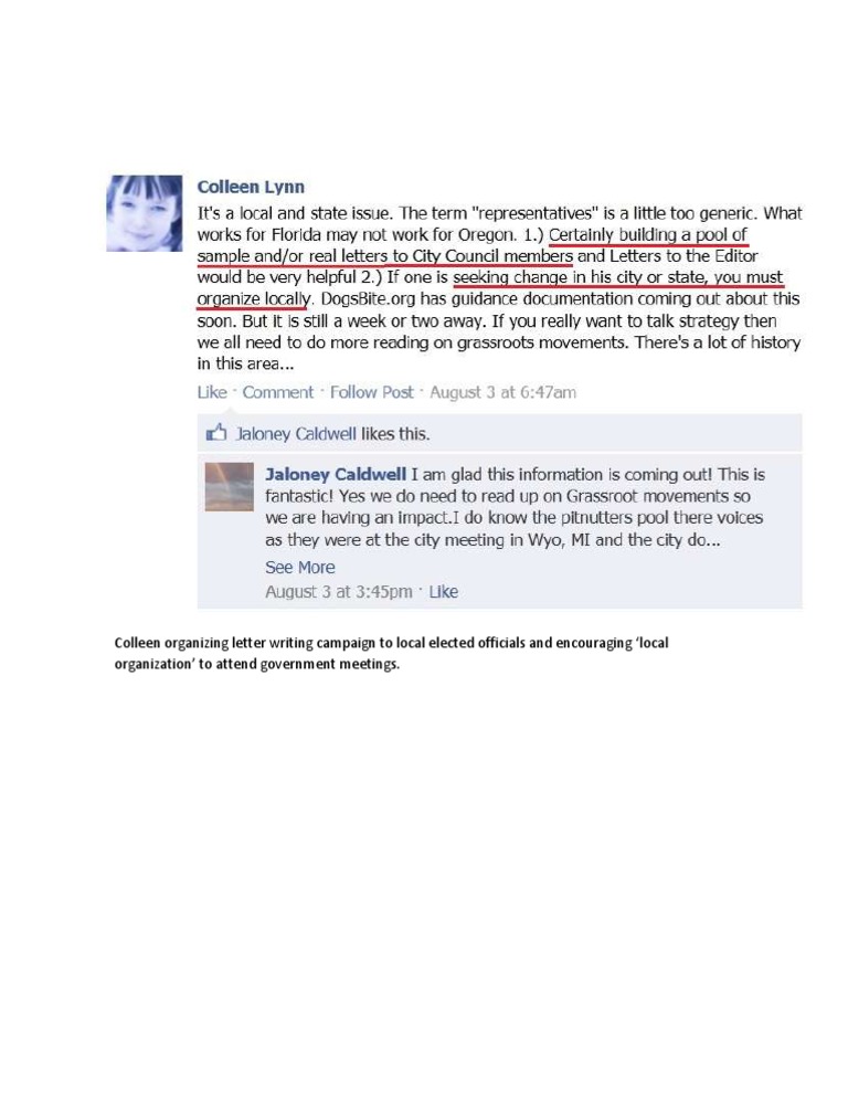 Colleen Lynn - Lobbying3 | PDF