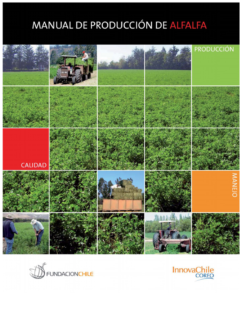 Alfalfa Production Best Practices Guide | PDF | Alfalfa | Soil