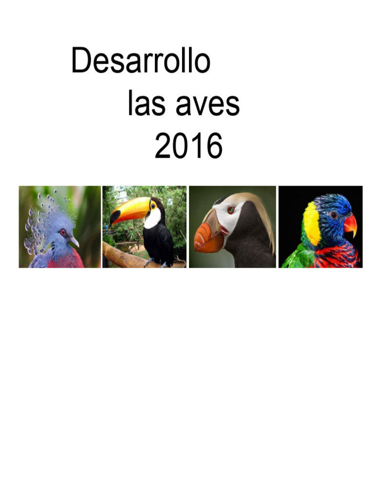 Clase 10 Desarrollo de las Aves | PDF | Fertilización | Huevo