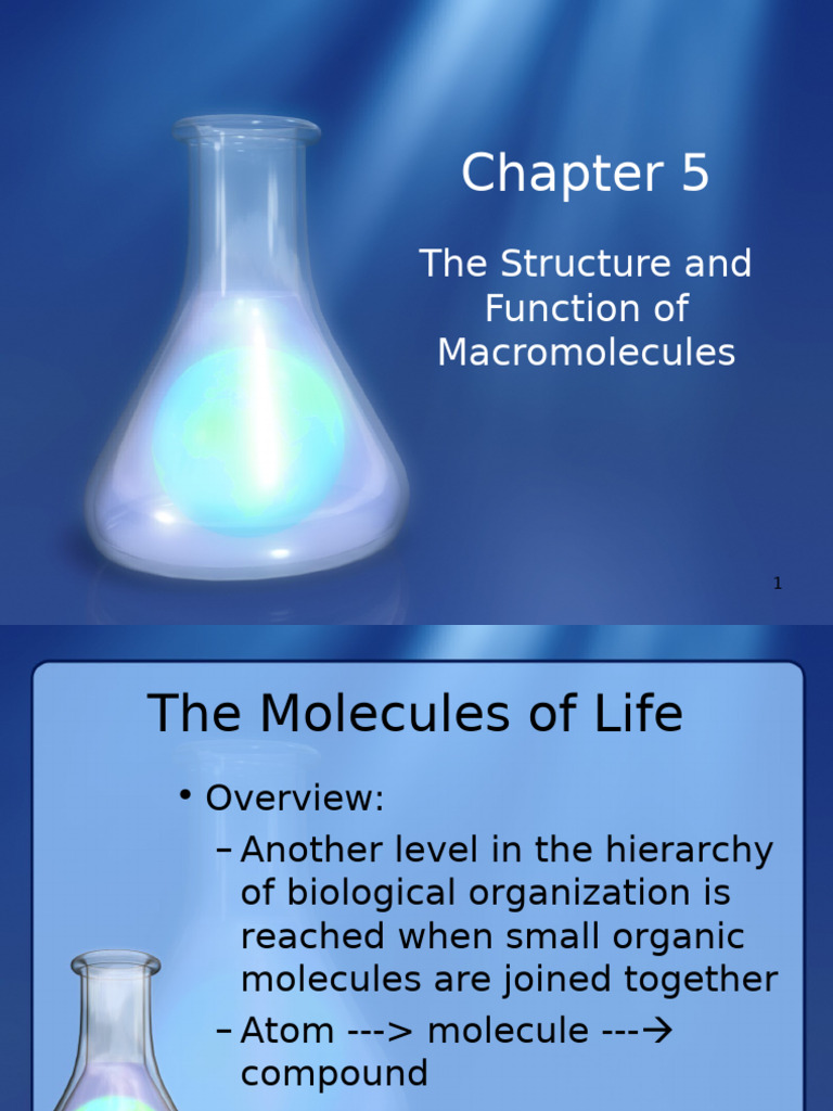 Structure and Function of Macromolecules | PDF | Macromolecules | Fatty ...