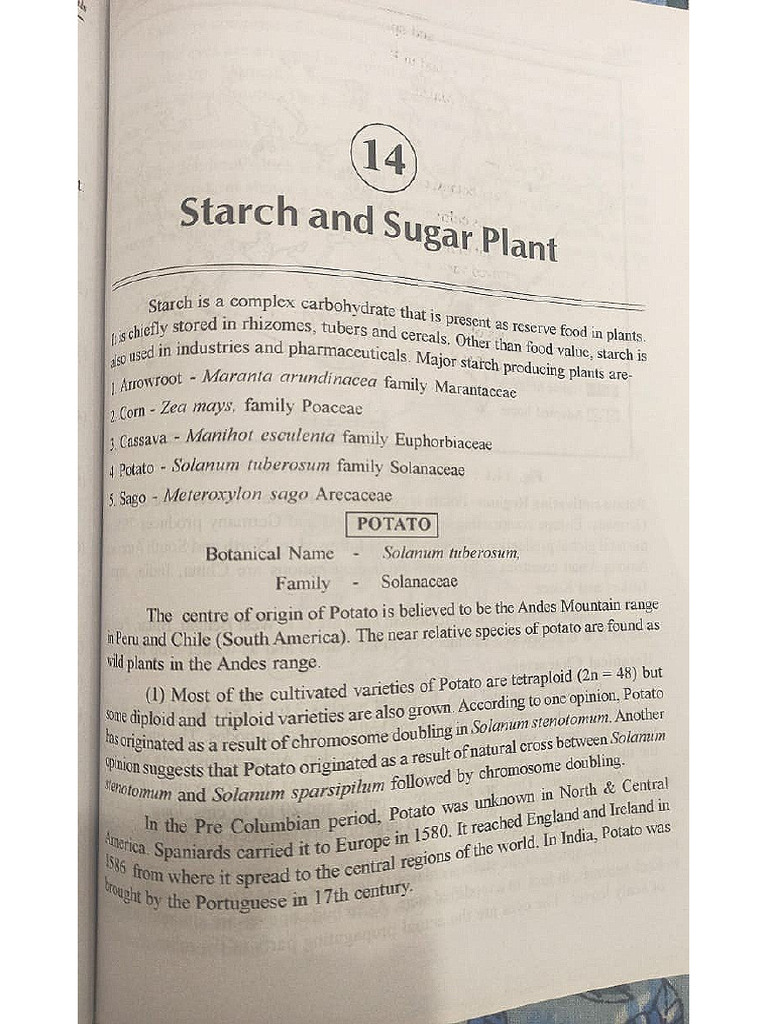 Starch and Sugar | PDF