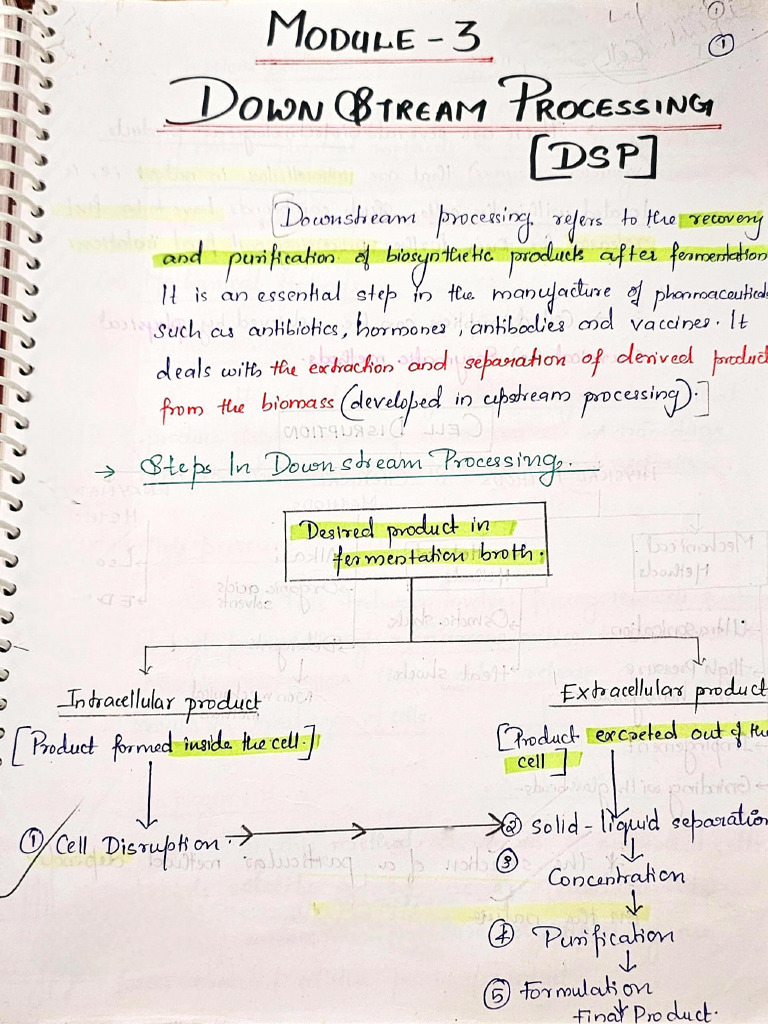 Cell Disruption Techniques Overview | PDF