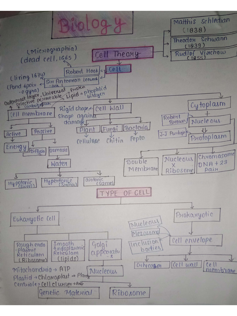 Biology Mind Maps by Rin Nohara | PDF