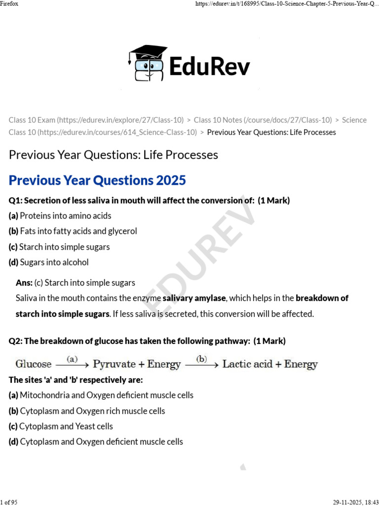 Class 10 Science Life Processes Q&A | PDF | Atrium (Heart) | Digestion