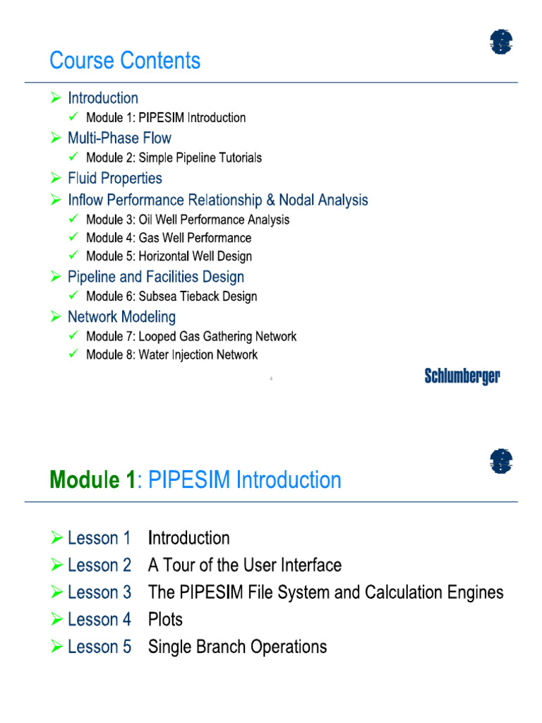 SLB Course For Pipesim Simulation Software | PDF