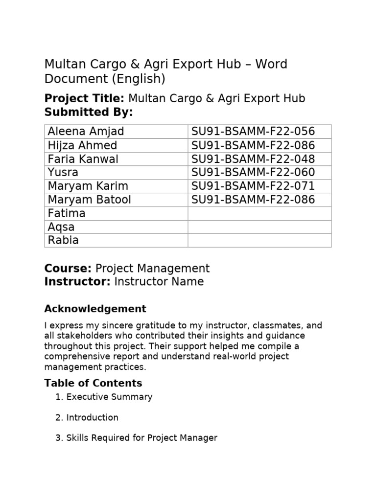 Multan Cargo Project | PDF | Logistics | Customs
