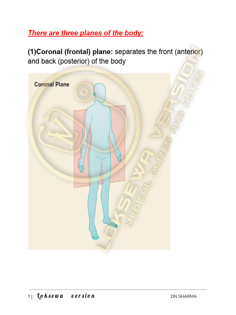 Anatomical Direction | PDF
