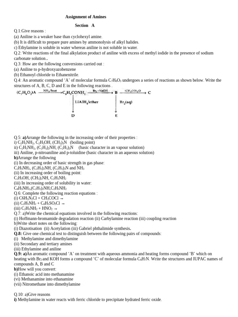 Assignment of Amines | PDF | Amine | Chemical Compounds