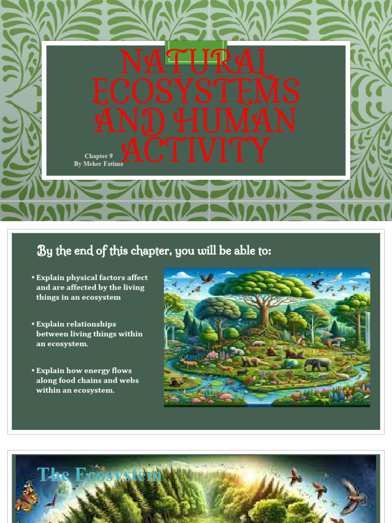 Ecosystem Dynamics and Human Impact | PDF | Ecosystem | Food Web