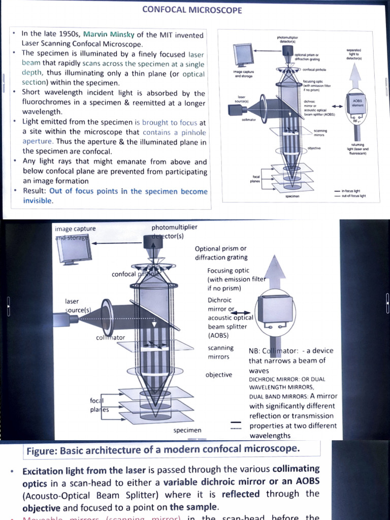 Confocal Micros | PDF