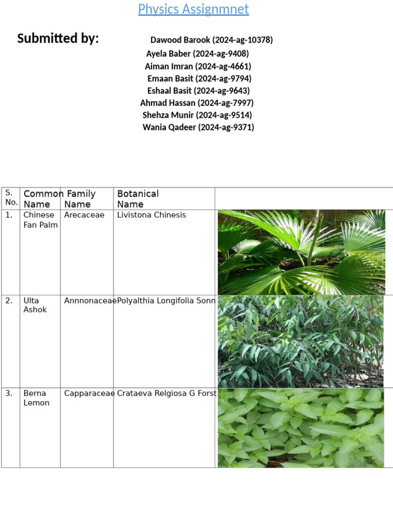 Plant Physics Assignment | PDF
