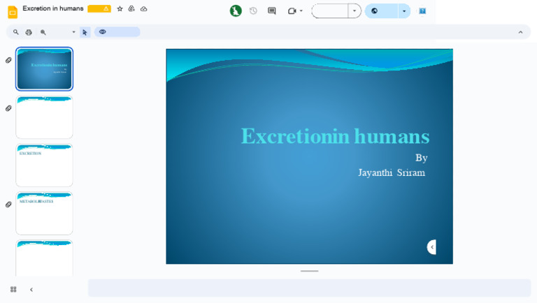 Excretion in Humans.pptx - Google Slides | PDF