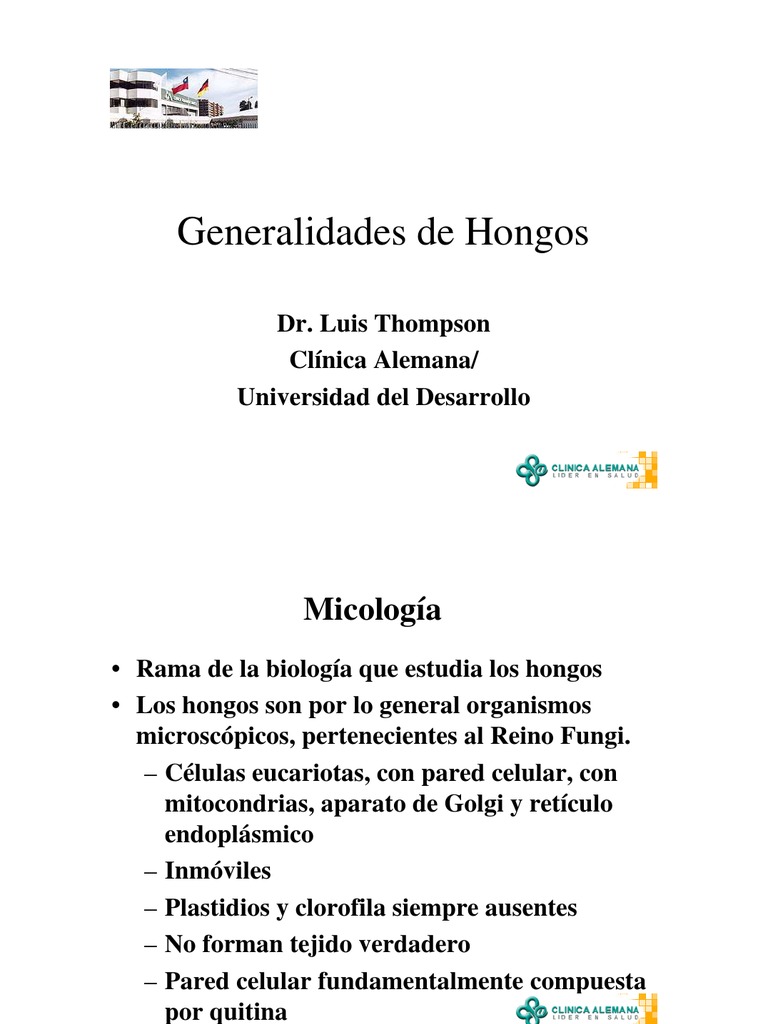 Hongos, Generalidades | PDF | Hongo | Microbiología