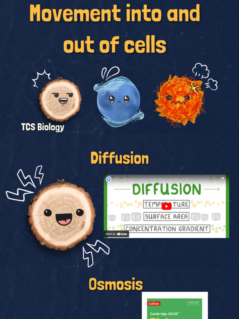 Movement Into and Out of Cells | PDF