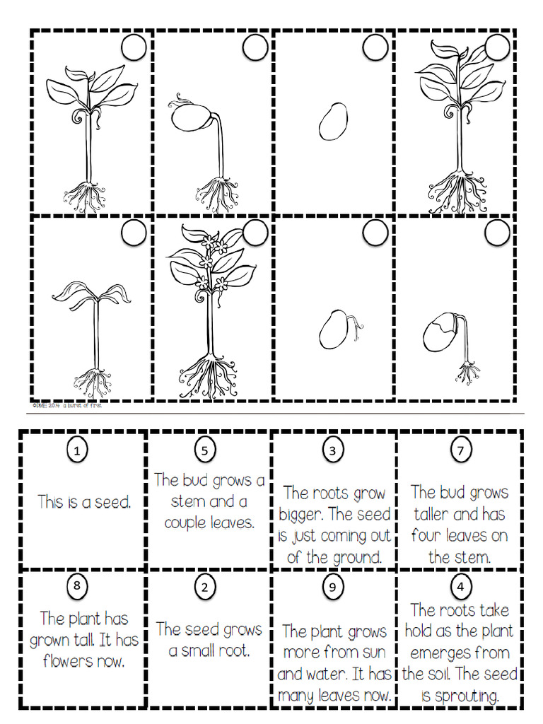 Bean Life Cycle Representation | PDF