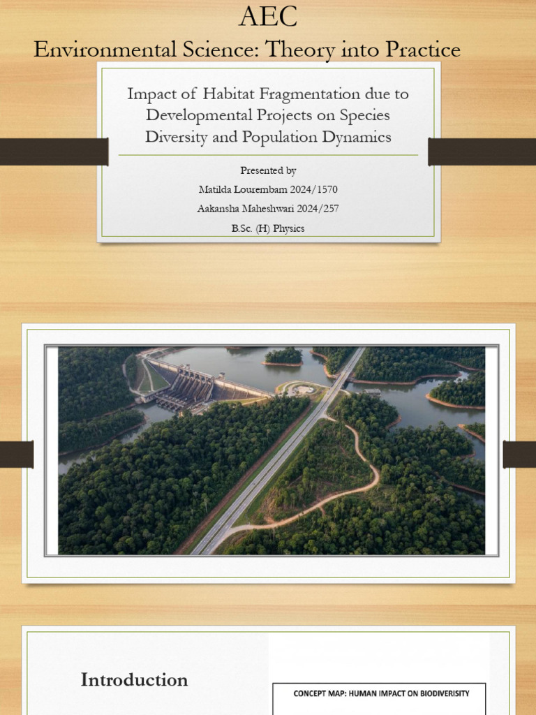 Habitat Fragmentation and Biodiversity Loss | PDF | Biodiversity ...