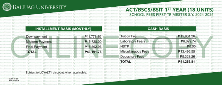 BS Information Technology (BSIT) | PDF