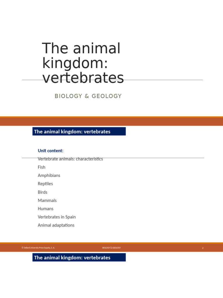 Overview of Vertebrate Animals | PDF | Vertebrates | Amphibian