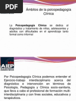 La Psicopedagogía y Los Psicopedagogos Marina Muller | PDF ...