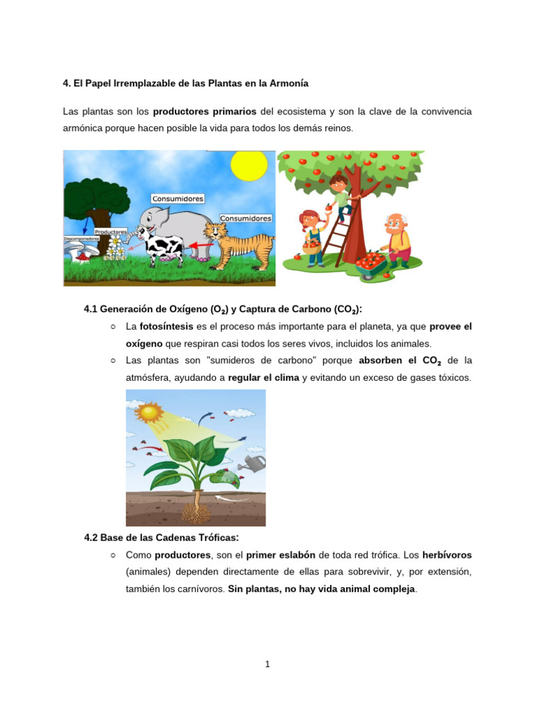 El Papel Irremplazable de Las Plantas en La Armonía | PDF