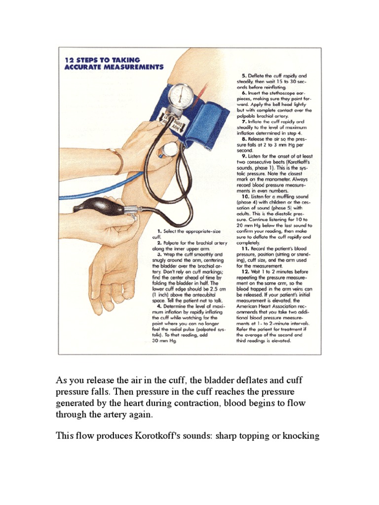 12 Step To Accurately Measuring Blood Pressure | PDF | Blood Pressure ...