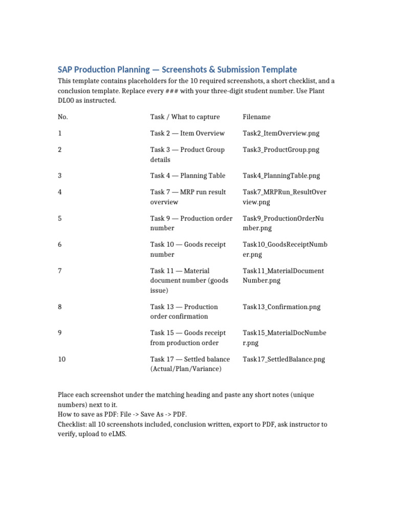 SAP Lab Screenshots Template | PDF
