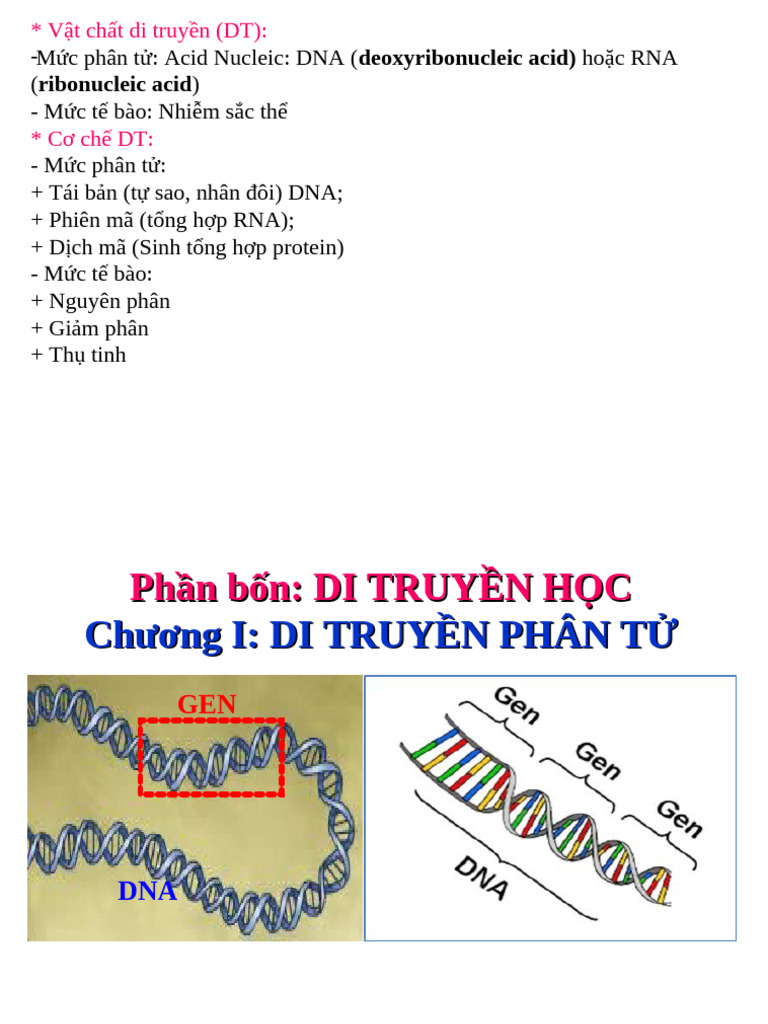 Bai 1. Dna Va Co Che Tai Ban Dna | PDF