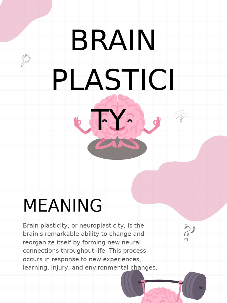 Understanding Brain Plasticity Factors | PDF | Neuroplasticity ...