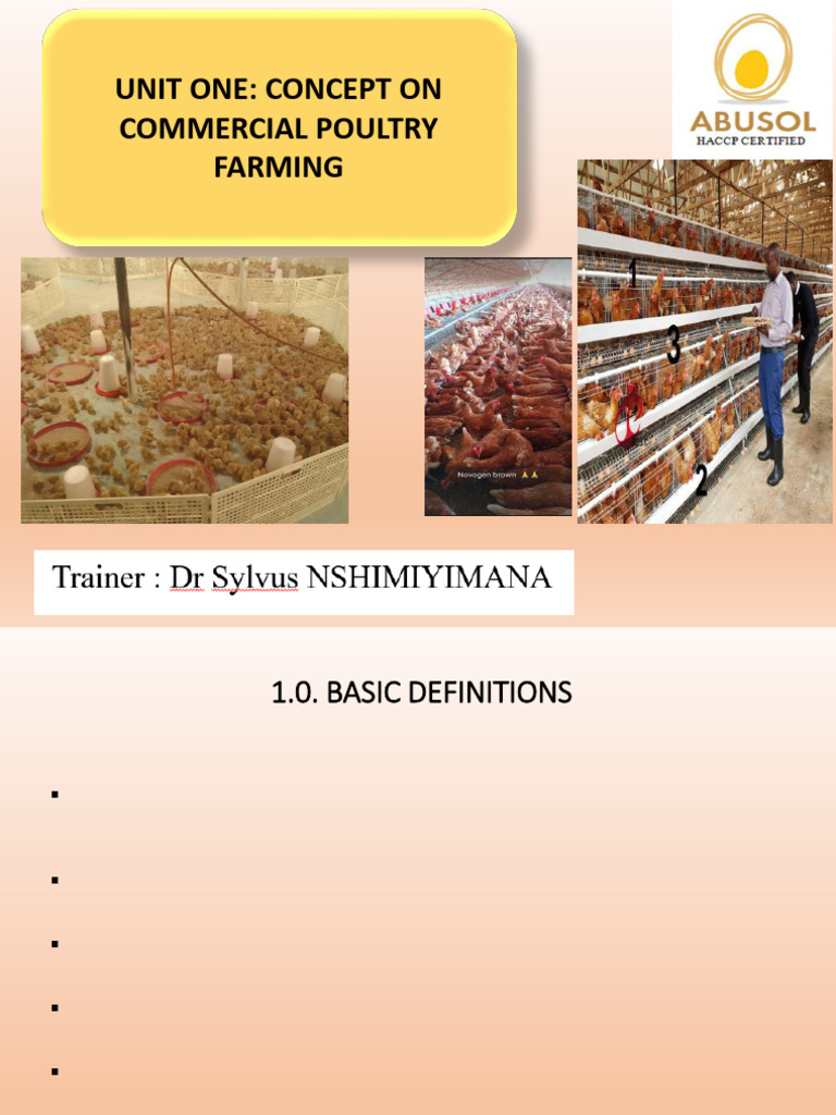 Commercial Poultry Farming Basics | PDF | Chicken | Poultry Farming