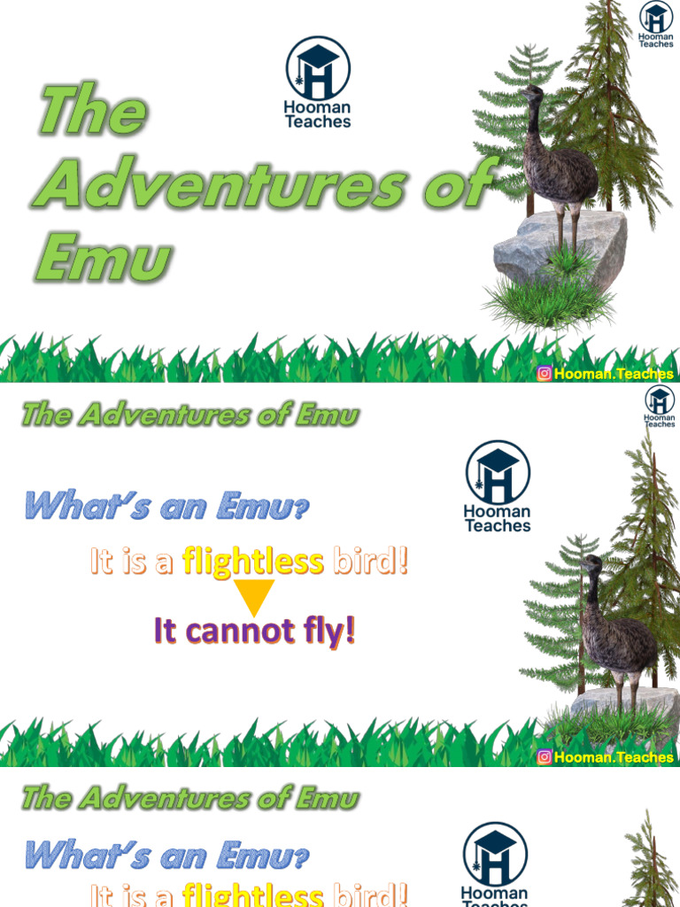 The adventures of Emu - Hooman.teaches ( Hooman Hezardastan) | PDF