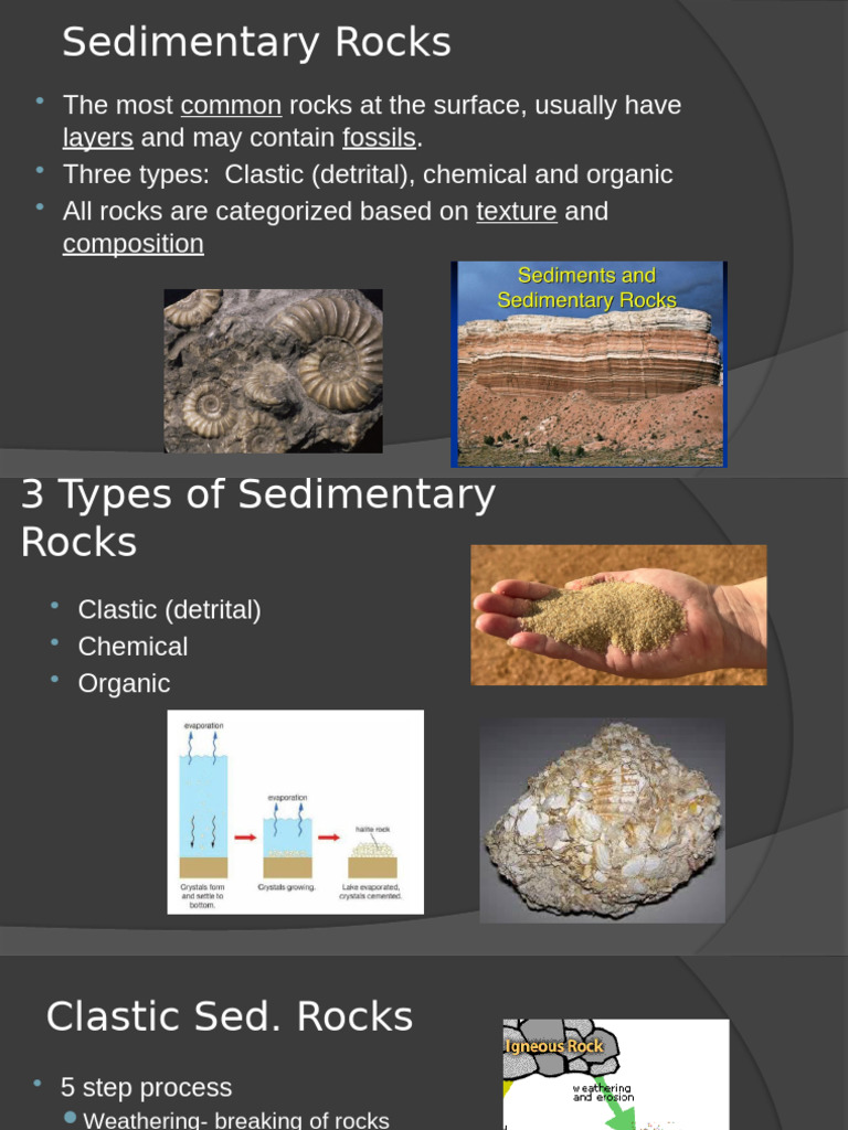 Sedimentary Rock Notes | PDF
