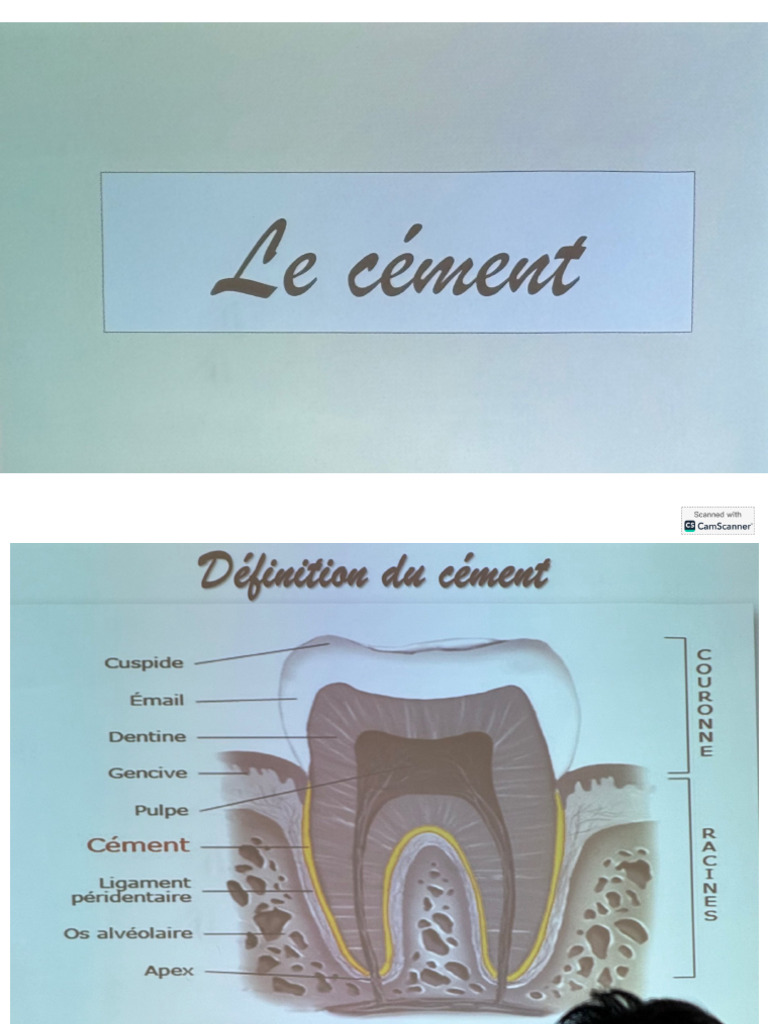 Le Cement | PDF
