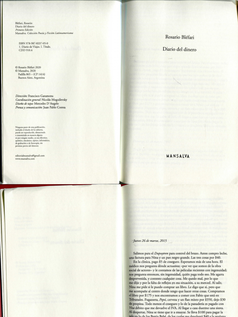 Bléfari. Diario Del Dinero (Selección) | PDF